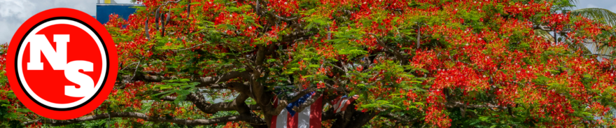 El "Chacal" regresa: "The Day of the Jackal" confirma segunda temporada ...