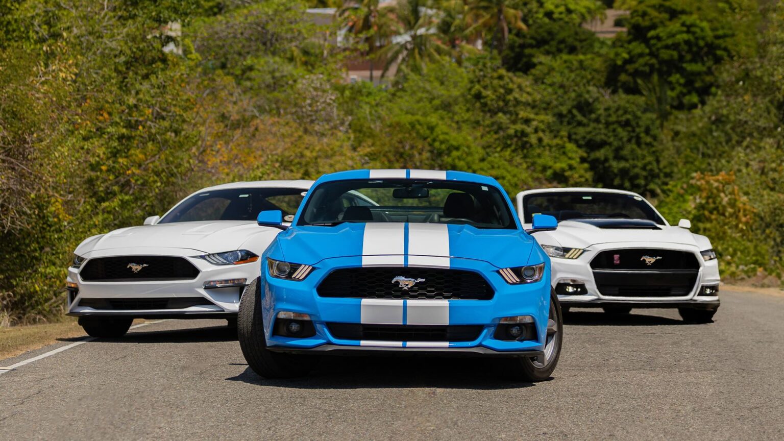 Ford celebra los 60 años del Mustang - Nación Social
