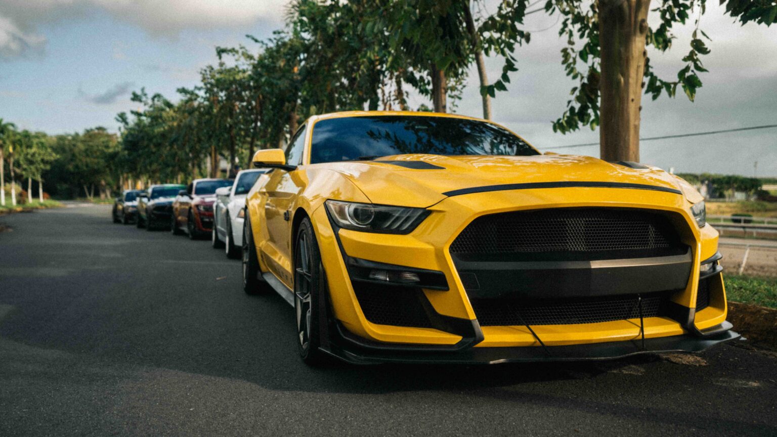Ford celebra los 60 años del Mustang - Nación Social