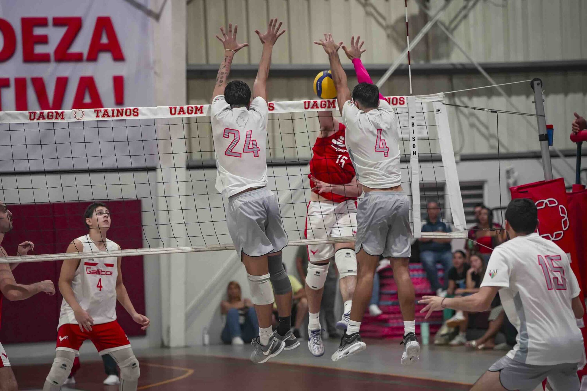 Taínos de UAGM a las puertas de su primer campeonato - Nación Social